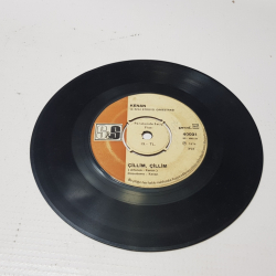 KENAN ÇİLLİM ÇİLLİM PLAĞI - Bayrak Müzayede